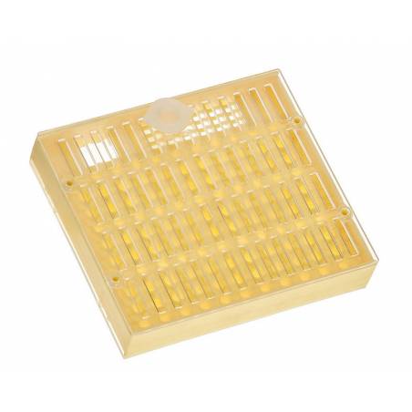 Cupularve NICOT Cell grid only - Queen rearing system