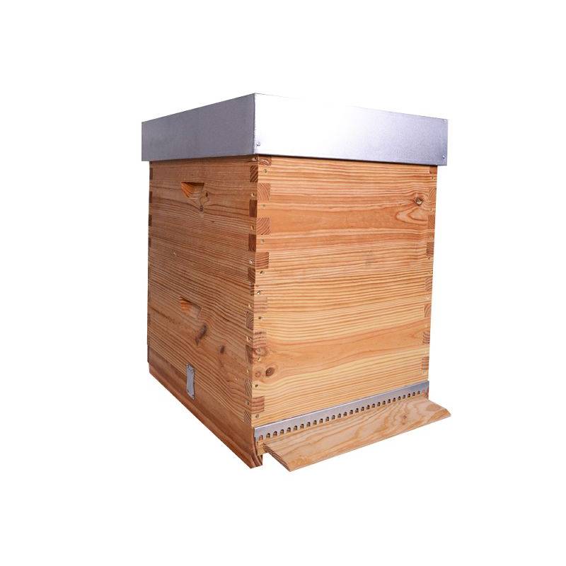 Colmeia Langstroth Normal Fixa - La Tienda del Apicultor