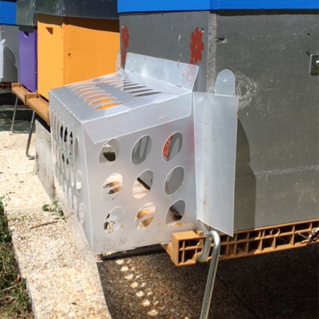 Stop it - Asian Wasp barrier protector for beehives