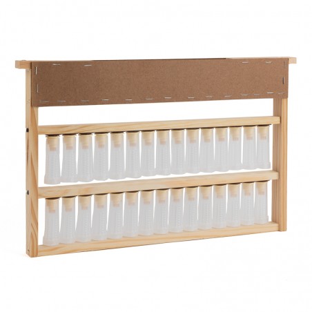 Jenter Queen Rearing Kit complete - Beekeeping supplies