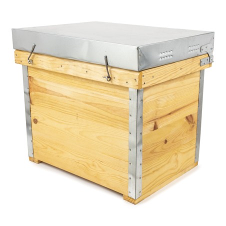 ¿Qué colmena elegir? - Recomendaciones para principiantes