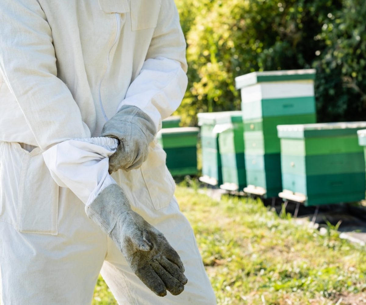 La Protección en la Apicultura: Todo lo que Necesitas Saber sobre los Trajes de Apicultor - MATERIAL