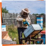 Bee Equipment - Quality beekeeping supplies