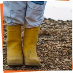 Bee Clothing - Best bee protective clothing